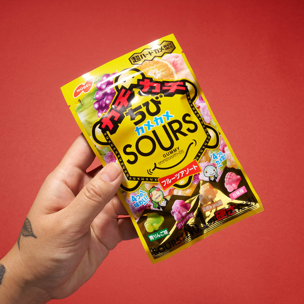 Hard Mini Turtle Sours Gummy: Fruit Mix (1 Bag)