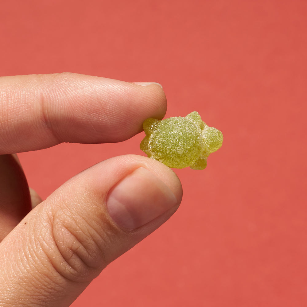 Hard Mini Turtle Sours Gummy: Fruit Mix (1 Bag)